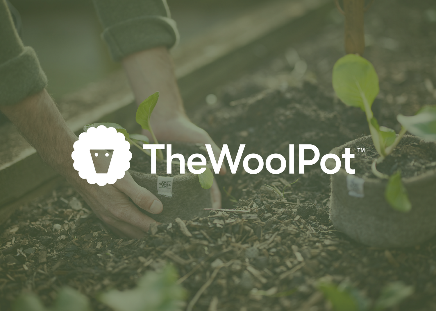Benefits of Wool – Exquisite Wool Traders