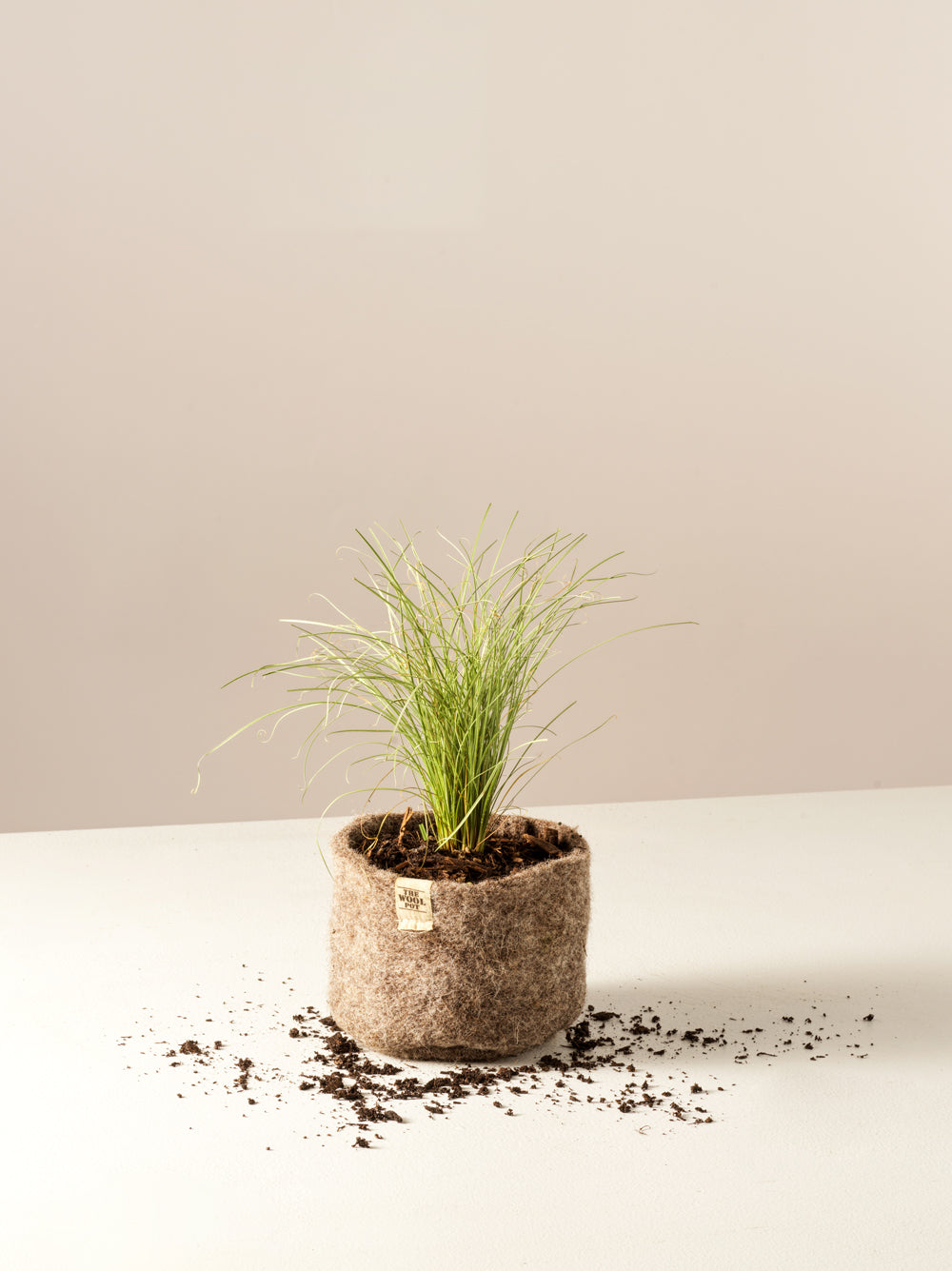 The Wool Pot (3x pack) – Exquisite Wool Traders